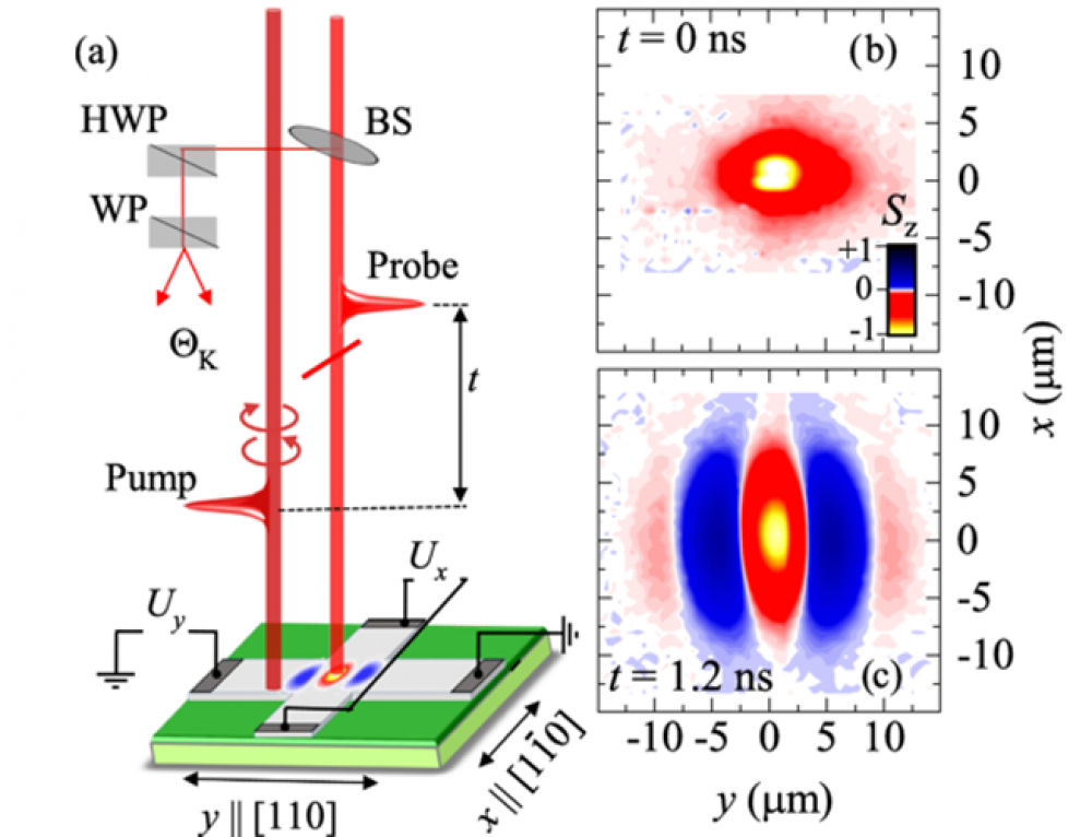 Quantum state tomography | Quantum Dynamics Quantum state tomography | Quantum Dynamics